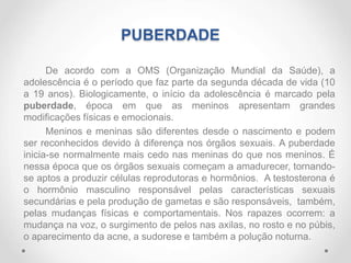 A estrutura aparelho reprodutor masculino aula 2.ppt