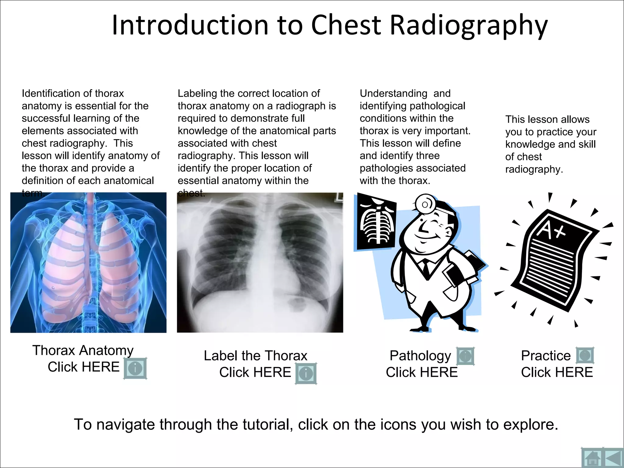 Introduction to Chest Radiography | PPT