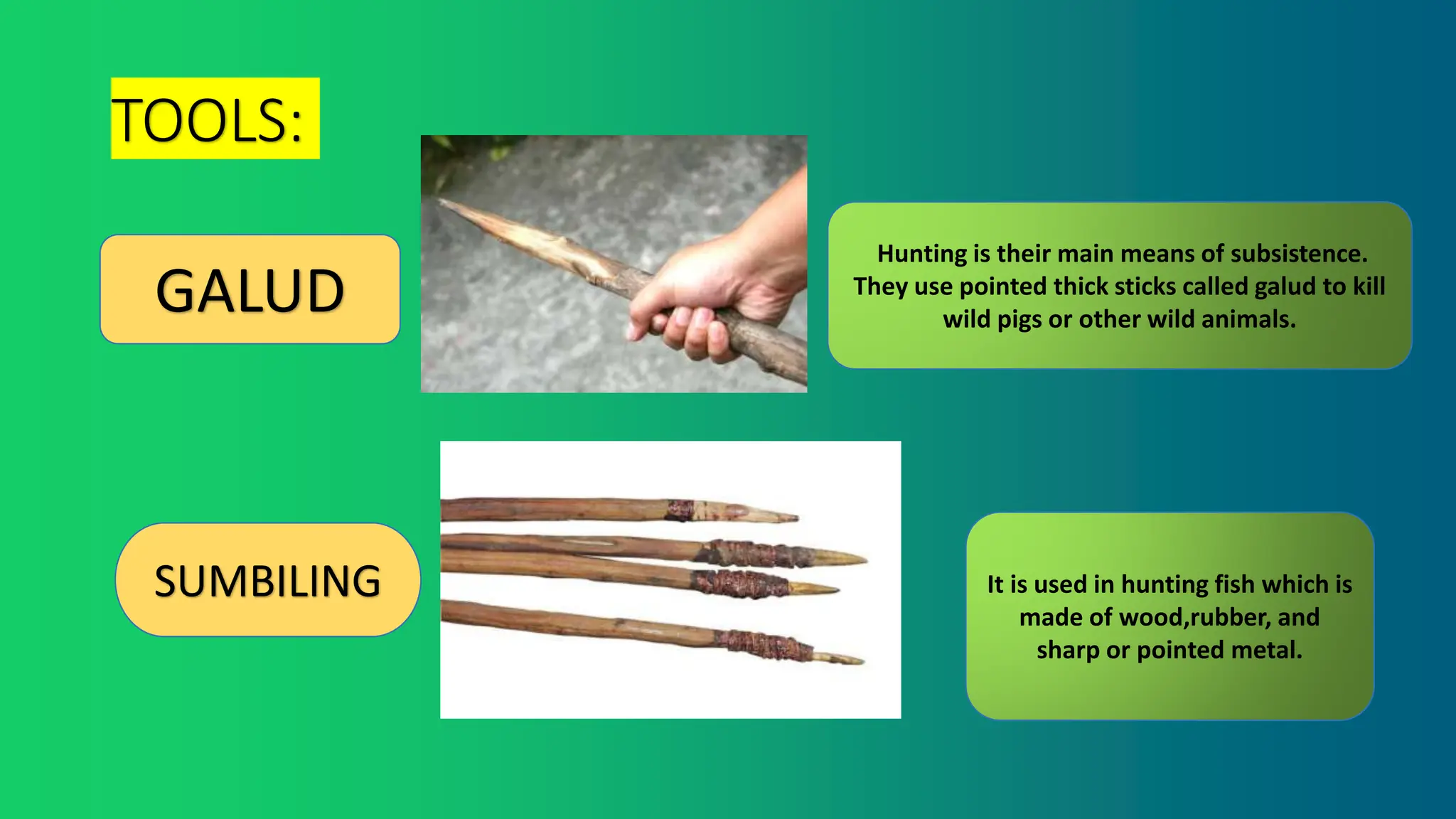 Philippine indigenous community AetasAETAS IN IRIGA CITY.pptx