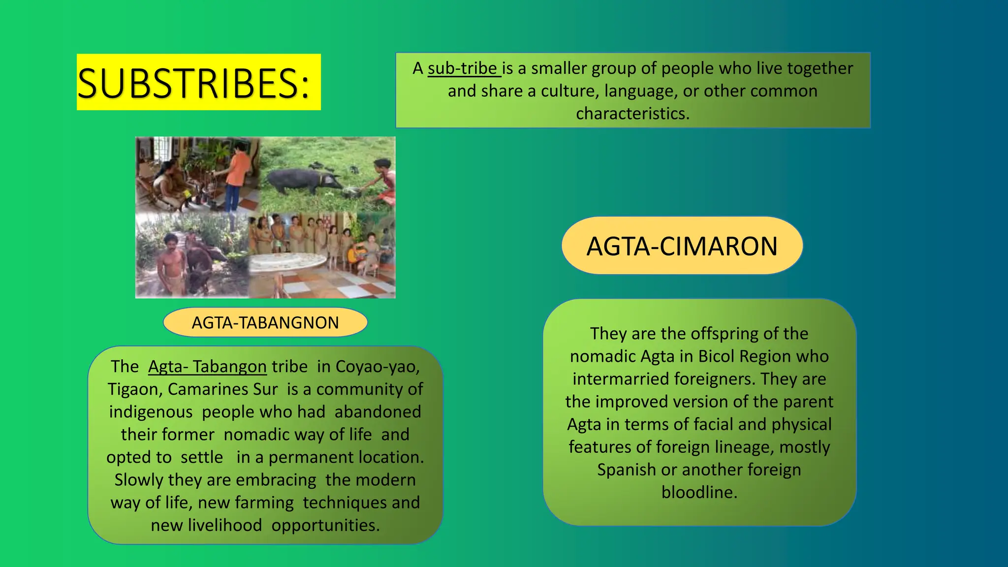 Philippine indigenous community AetasAETAS IN IRIGA CITY.pptx