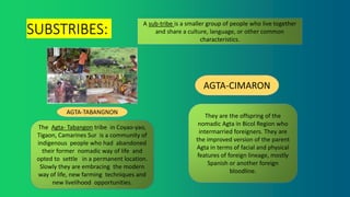 Philippine indigenous community AetasAETAS IN IRIGA CITY.pptx