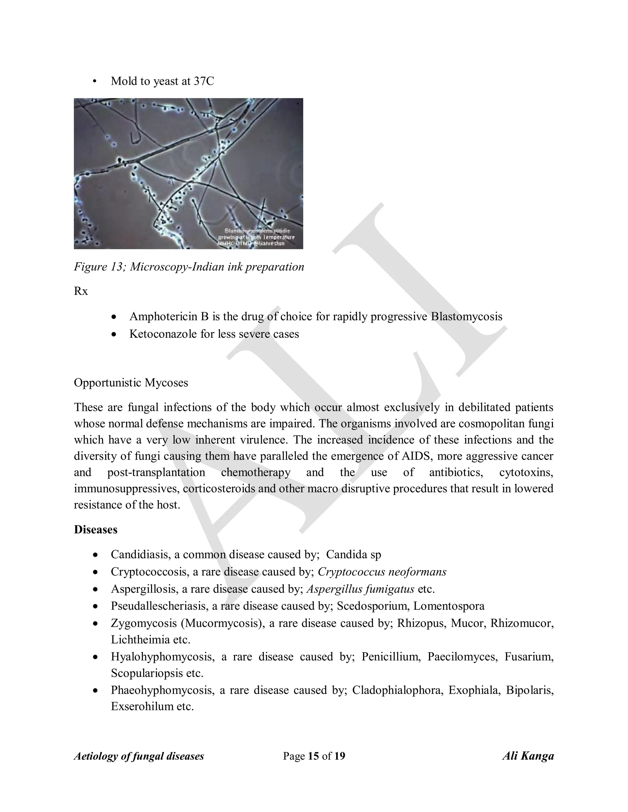 Power pointAetiology of Fungal diseases docx.pdf