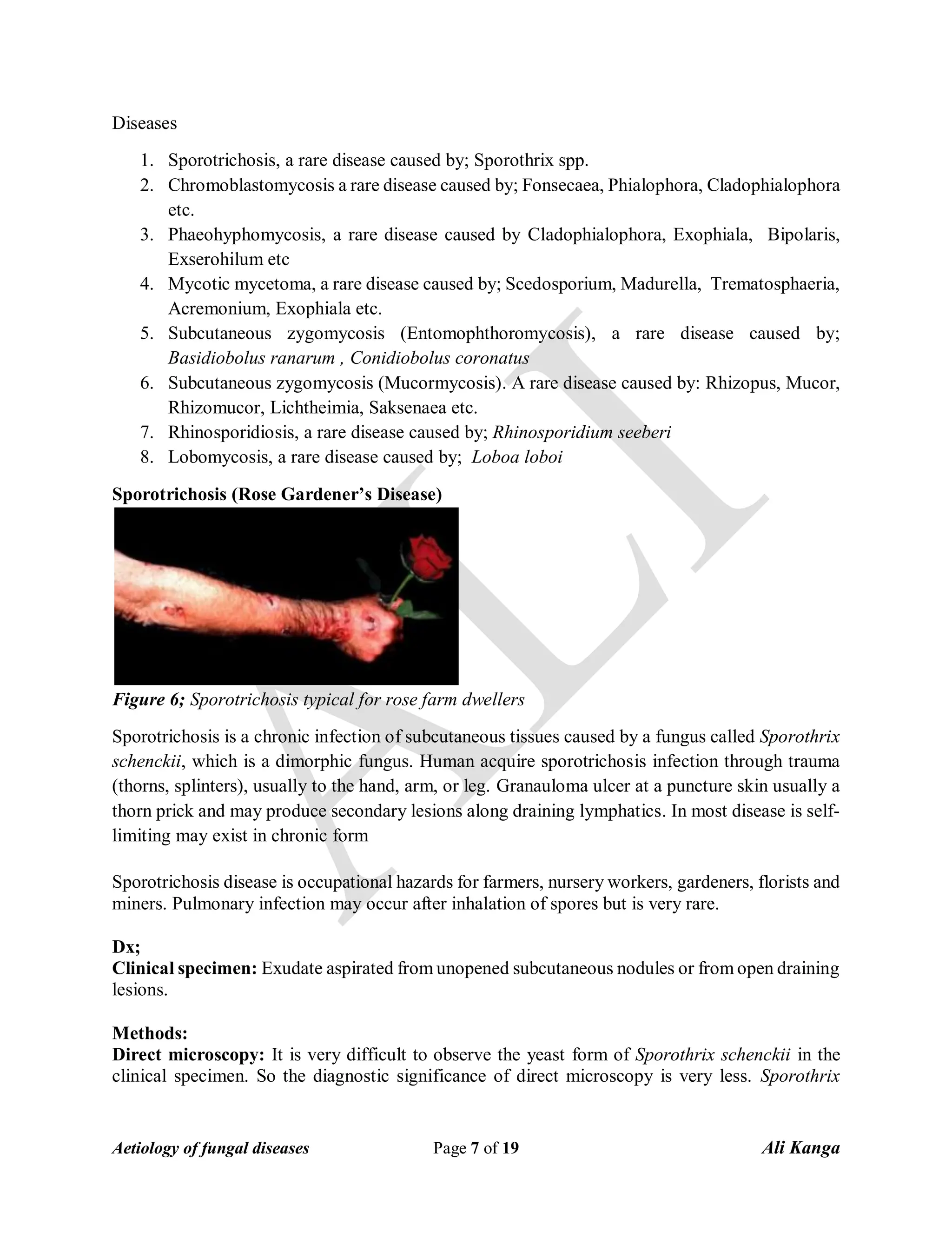 Power pointAetiology of Fungal diseases docx.pdf