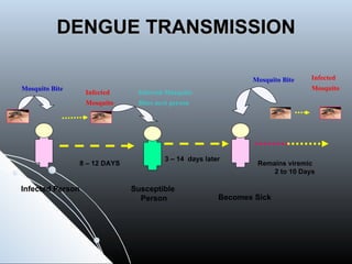 Aetiology,pathophysiology and diagnosis of dengue infection | PPT