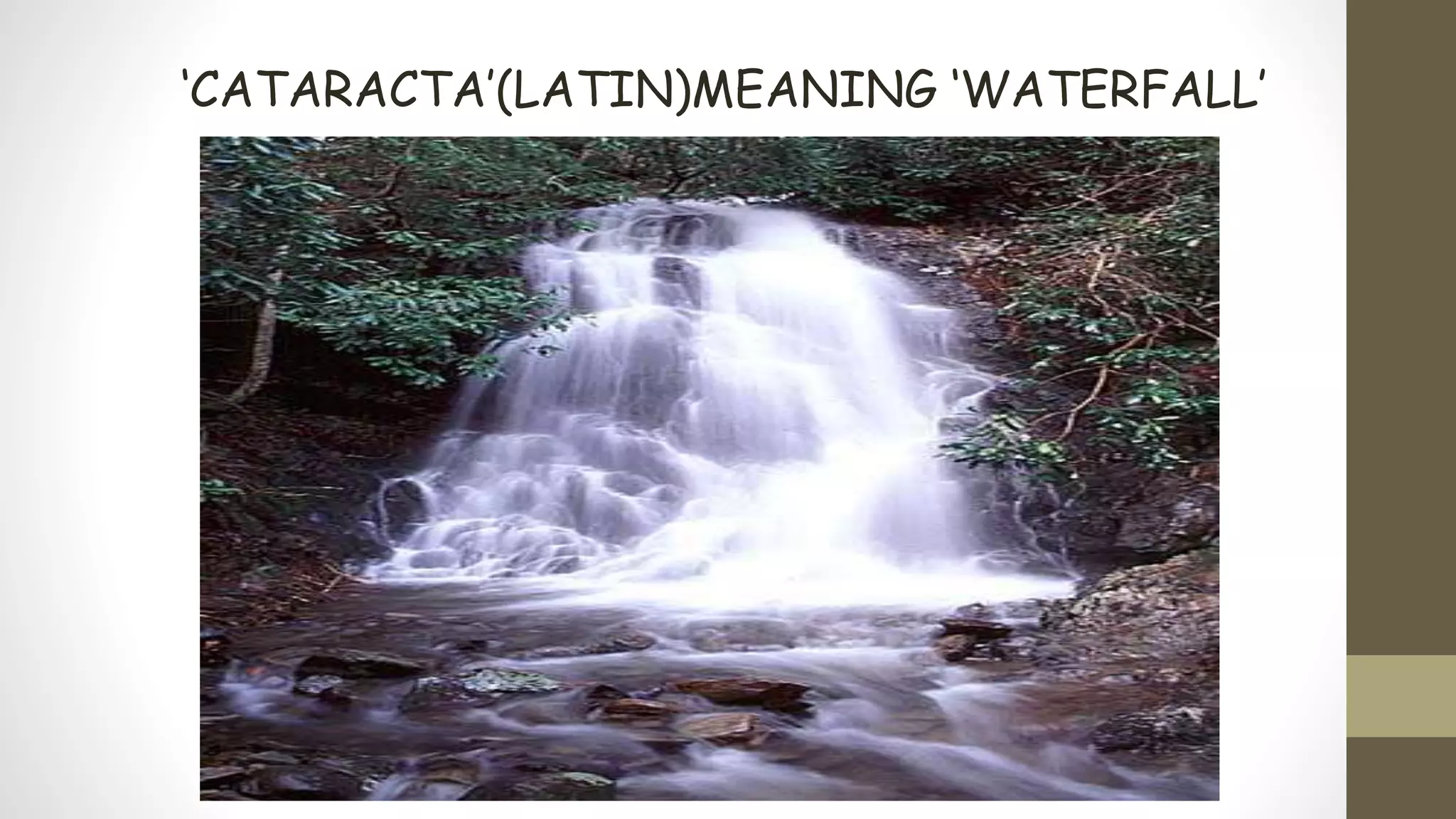 Aetiopathogenesis of cataract | PPTX