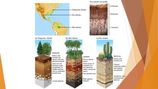 Aet pertemuan 2 pembentukan tanah (Universitas Trilogi) | PPT