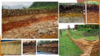 Aet pertemuan 2 pembentukan tanah (Universitas Trilogi) | PPT