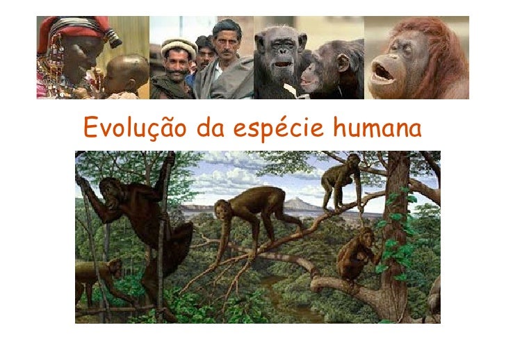 A Evolução Da Espécie Humana