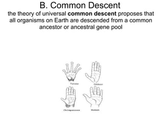 A evolution by_natu (2) | PPT