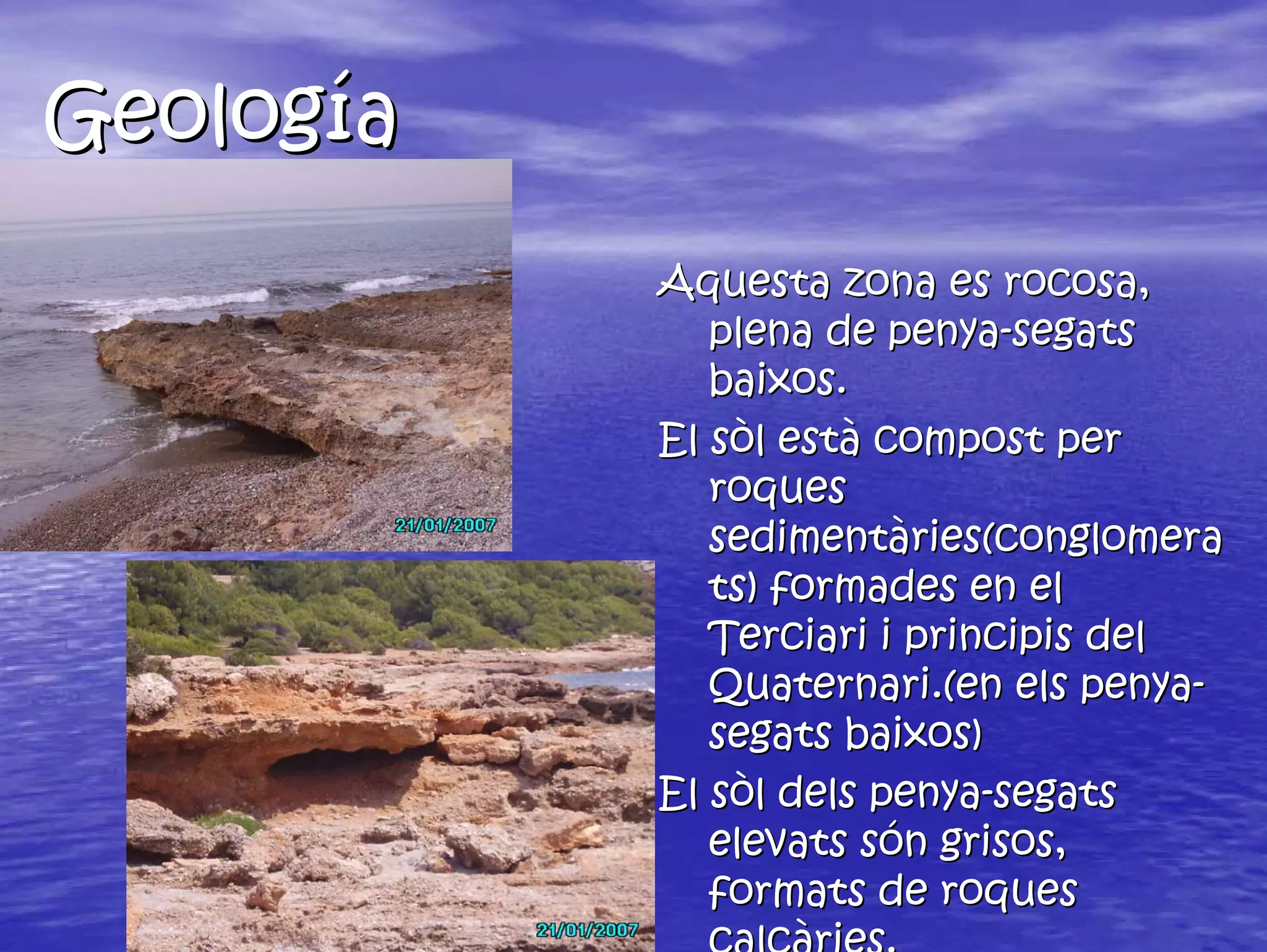 Aex Teo David Aida | PPT