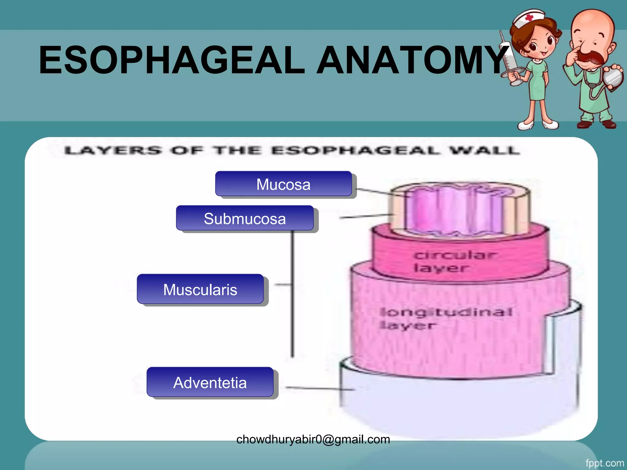 Esophageal Perforation | PPT