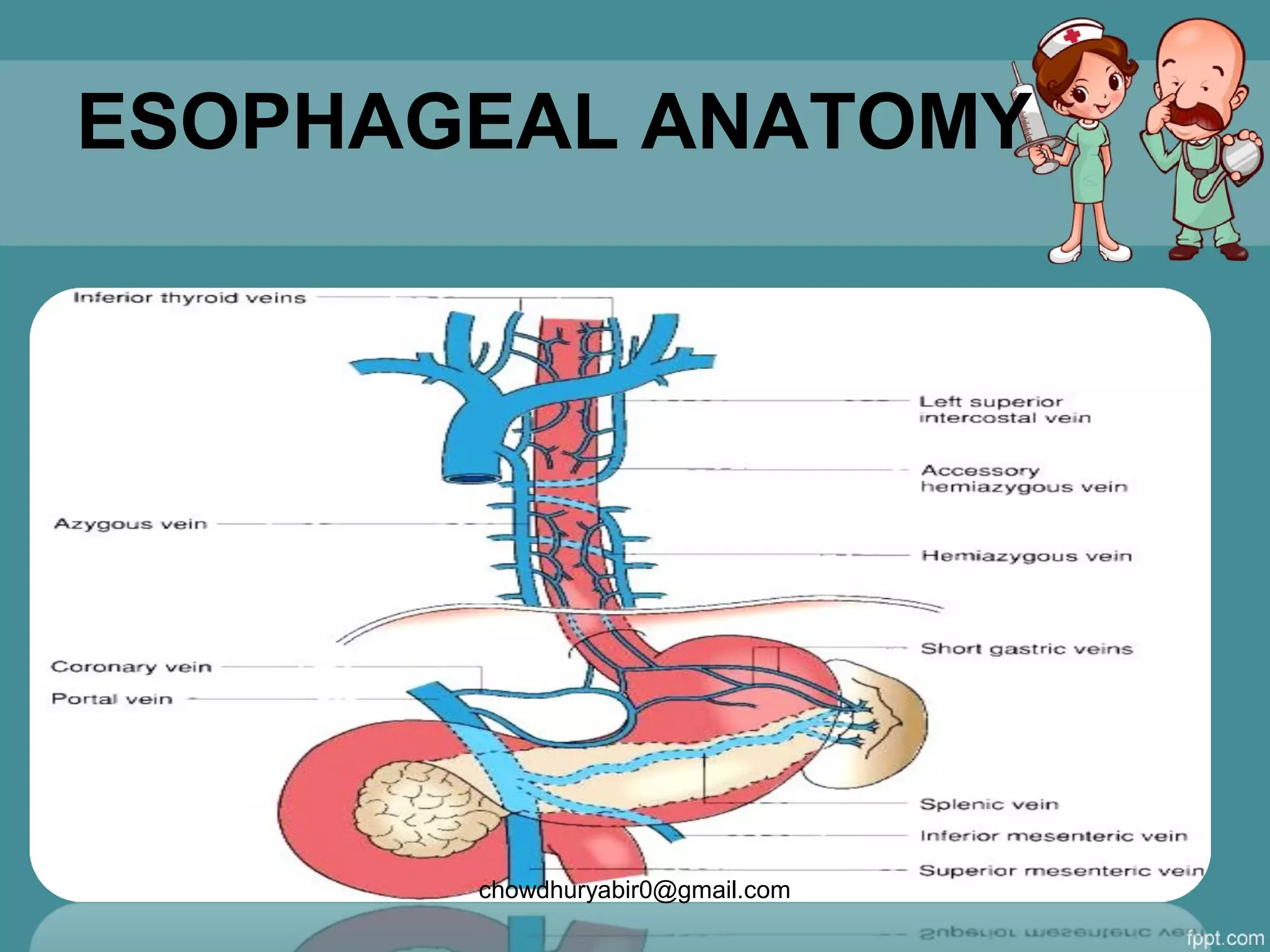 Esophageal Perforation | PPT