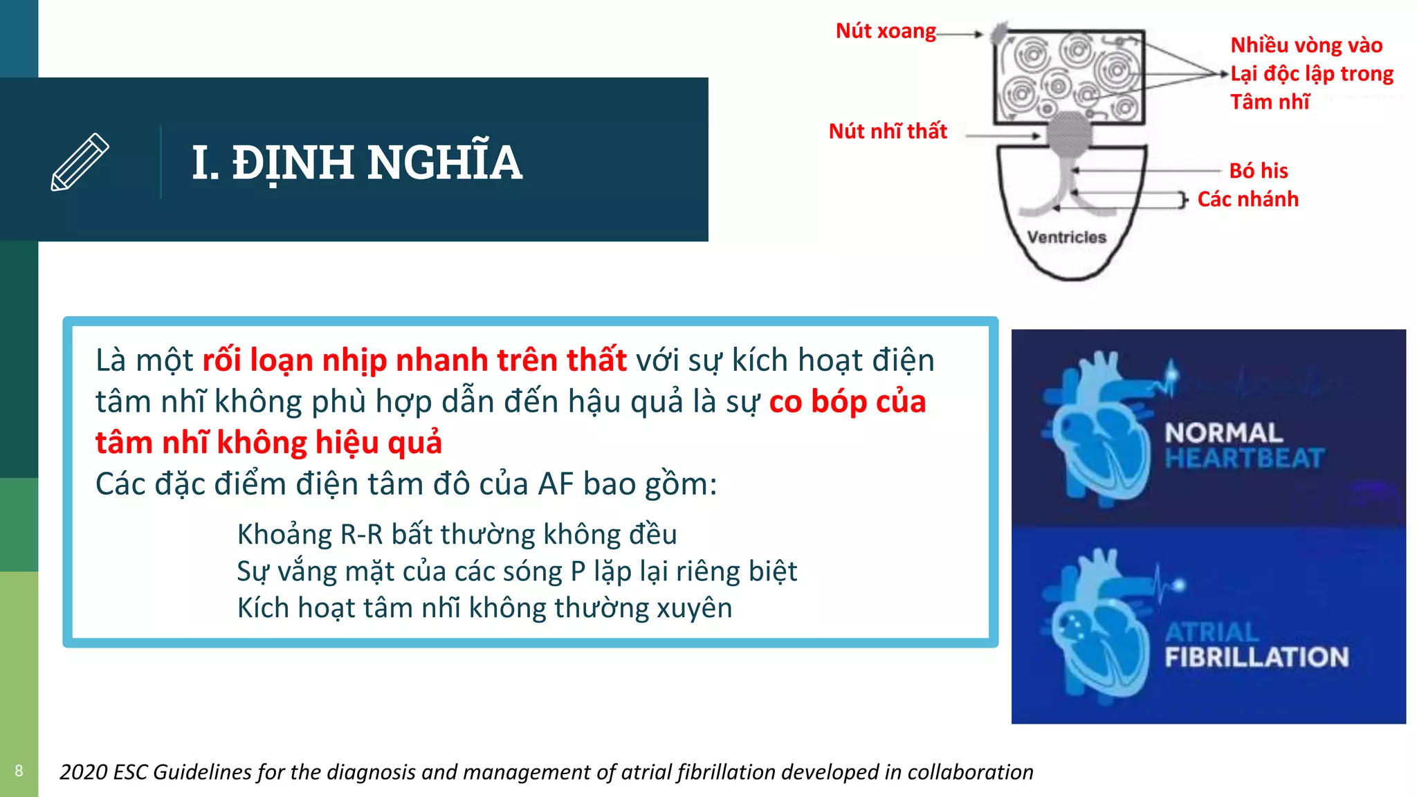 Tiếp Cận Chẩn Đoán Và Điều Trị Rung Nhĩ 2021 | PPTX