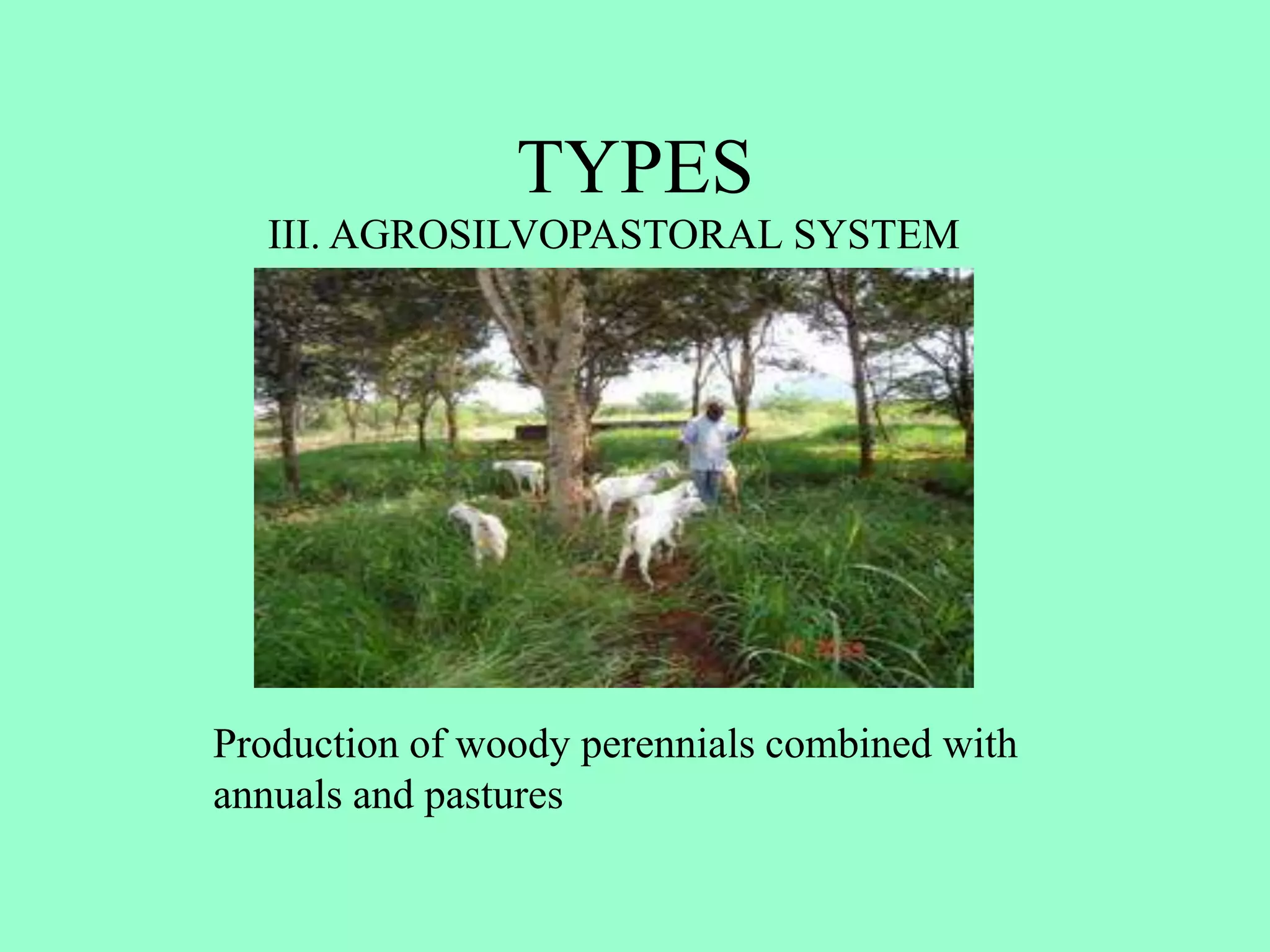 AgroForestry | PPTX