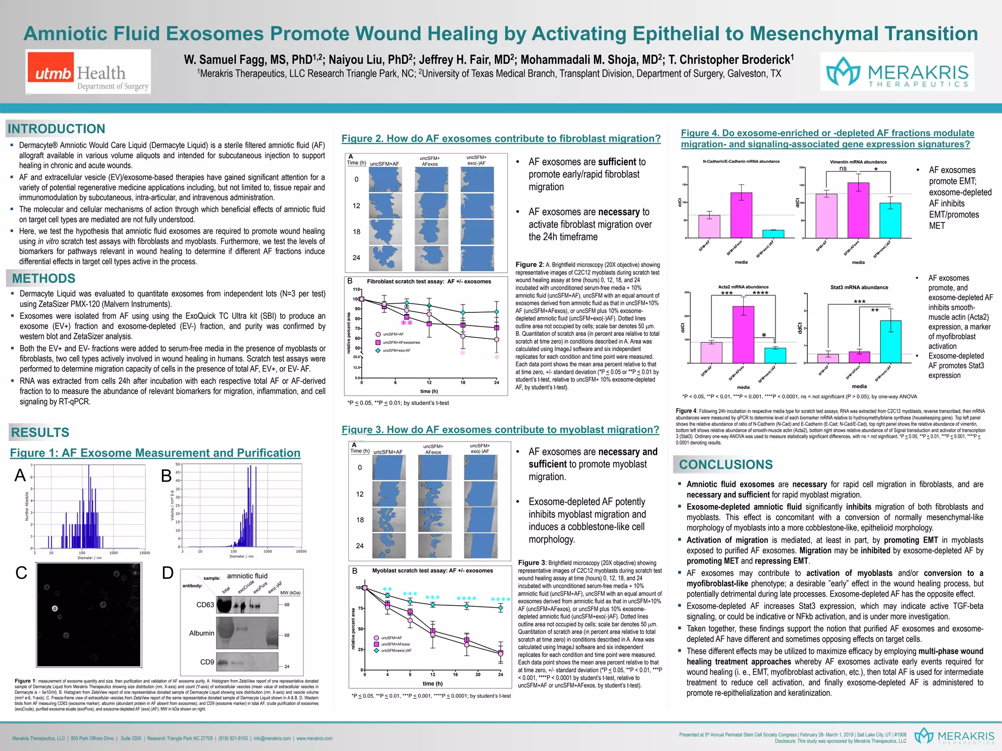 Amniotic Fluid Exosomes Promote Wound Healing by Activating Epithelial to Mesenchymal Transition ...