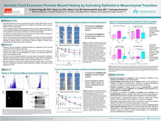 Amniotic Fluid Exosomes Promote Wound Healing by Activating Epithelial ...