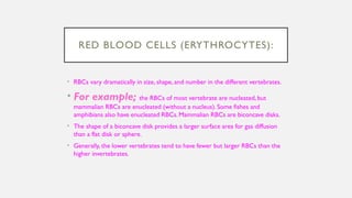 characteristics of vertebrate blood presentation | PPTX