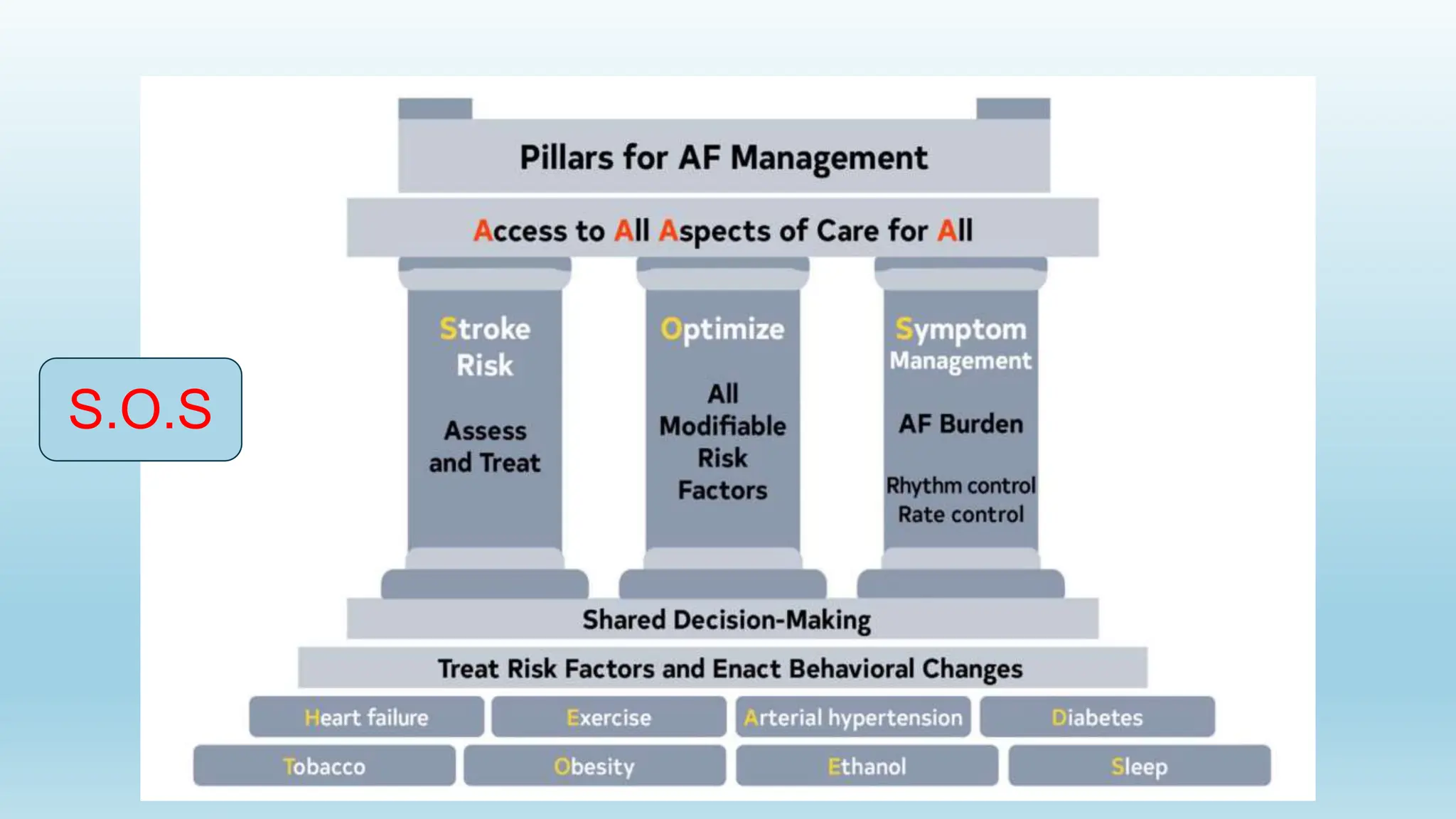 AF 2023 ACC guidelines half atrial fibrillation | PPTX