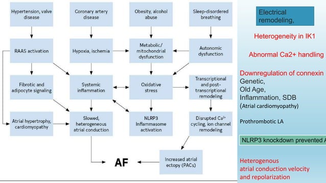 Atrial fibrillation guidelines 2023 ppt Rajesh.pptx