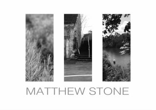 Matthew Stone Portfolio | PDF