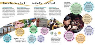 CIMMYT-brochure | PPT