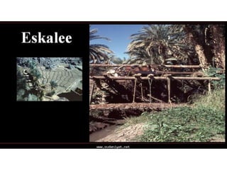 The trip to khashm al qirba. | PPT