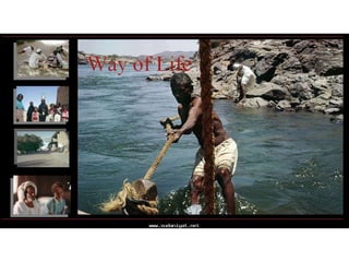 The trip to khashm al qirba. | PPS