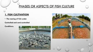 AFA-Chapter 7-Fish culture-Lesson 1 -DITAN-SAMPAGA.pdf