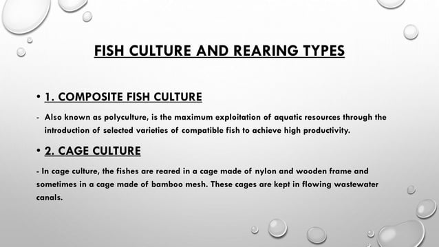 AFA-Chapter 7-Fish culture-Lesson 1 -DITAN-SAMPAGA.pdf