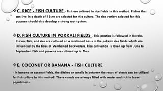 AFA-Chapter 7-Fish culture-Lesson 1 -DITAN-SAMPAGA.pdf