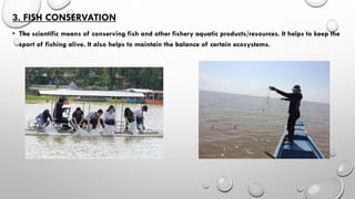 AFA-Chapter 7-Fish culture-Lesson 1 -DITAN-SAMPAGA.pdf