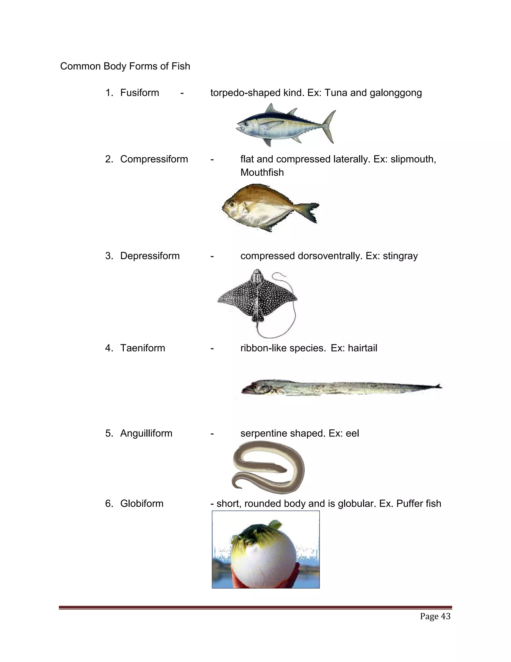 Fishery Arts 7 | PDF
