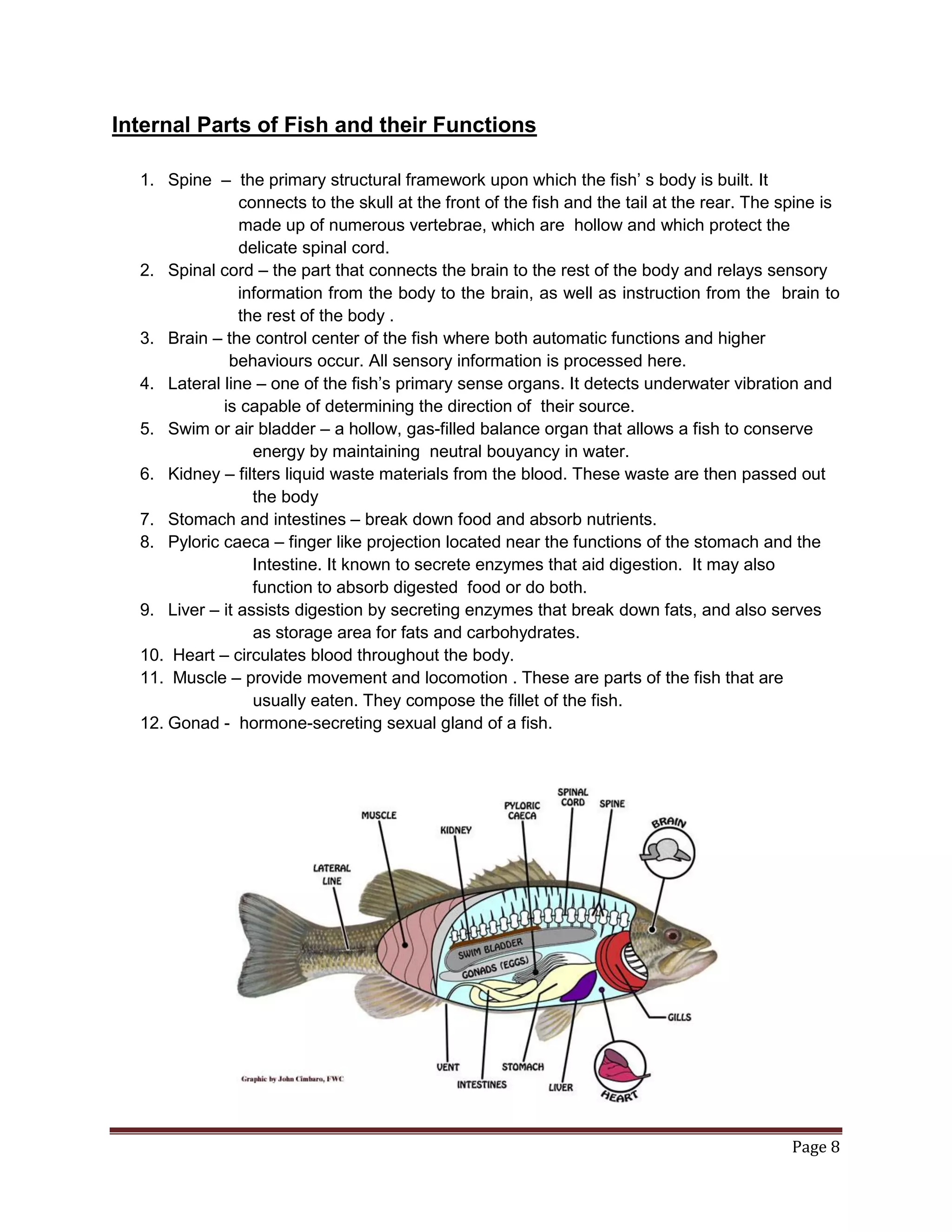Fishery Arts 7 | PDF