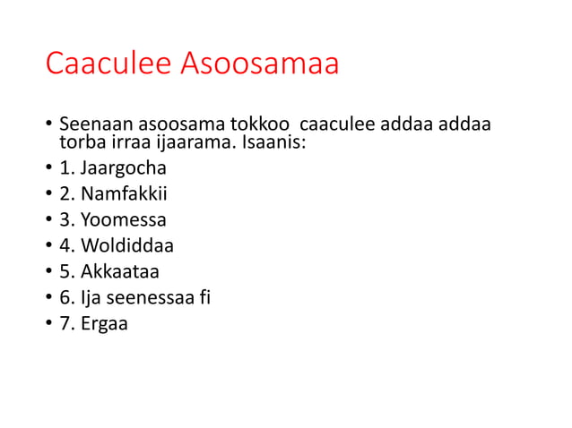AFAAN OROMOO Asoosama Dheeraa fi Gabaabaa.pptx