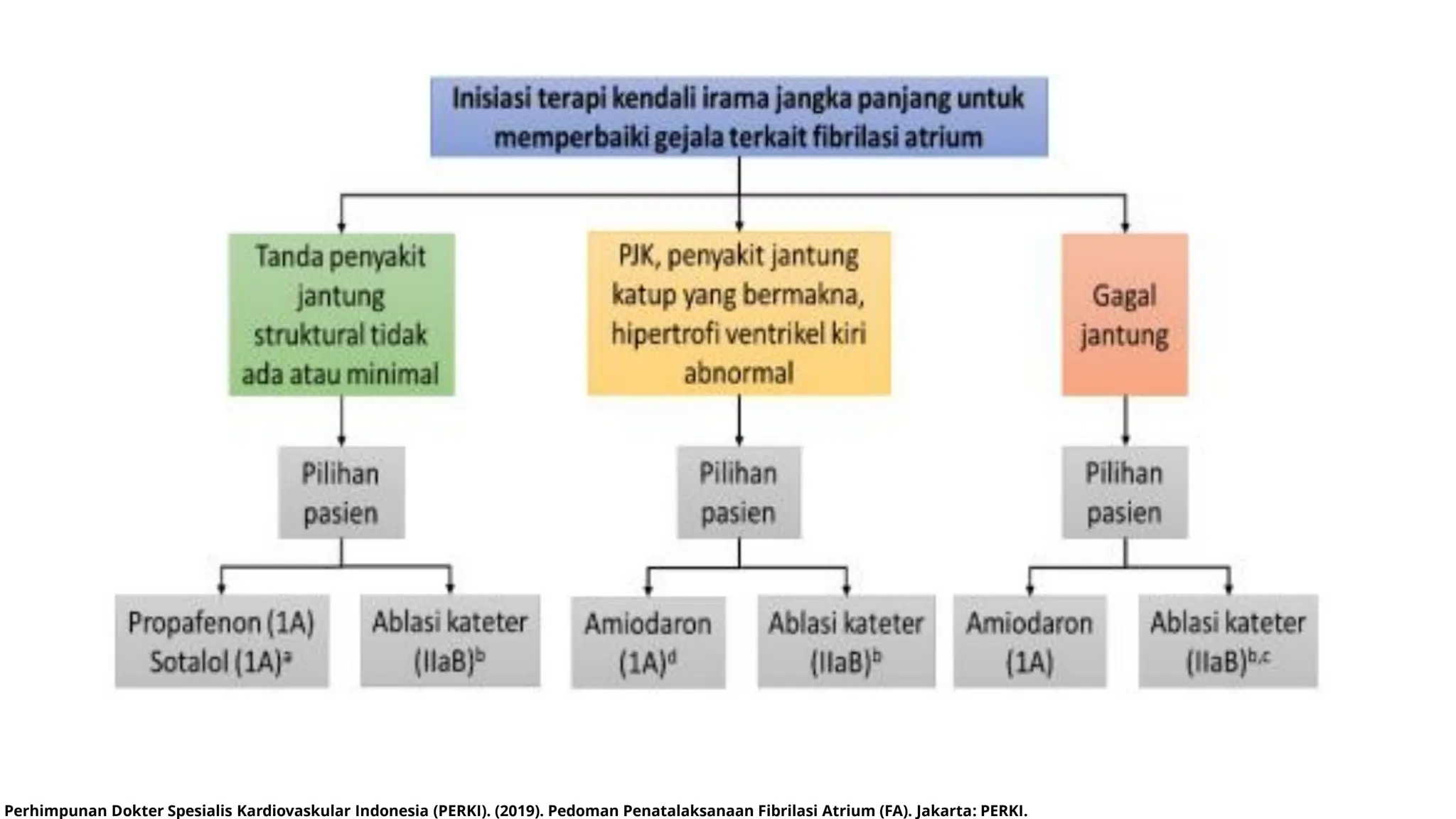 AF + ADHF laporan kasus intenship kardiologi | PPT