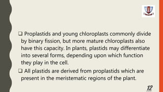 Afaq cell bio-1[1] | PPT