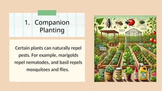 Organic pests and weed control TIC -9.PPT