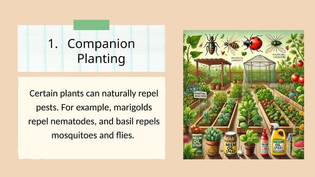 Organic pests and weed control TIC -9.PPT