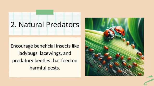 Organic pests and weed control TIC -9.PPT