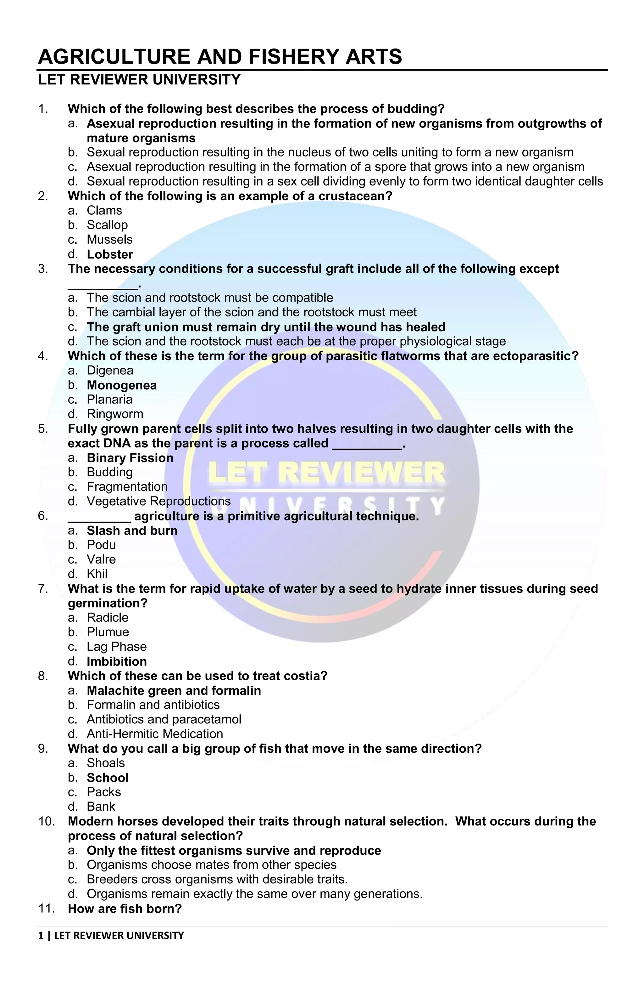 AFA REVIEWER E.pdf