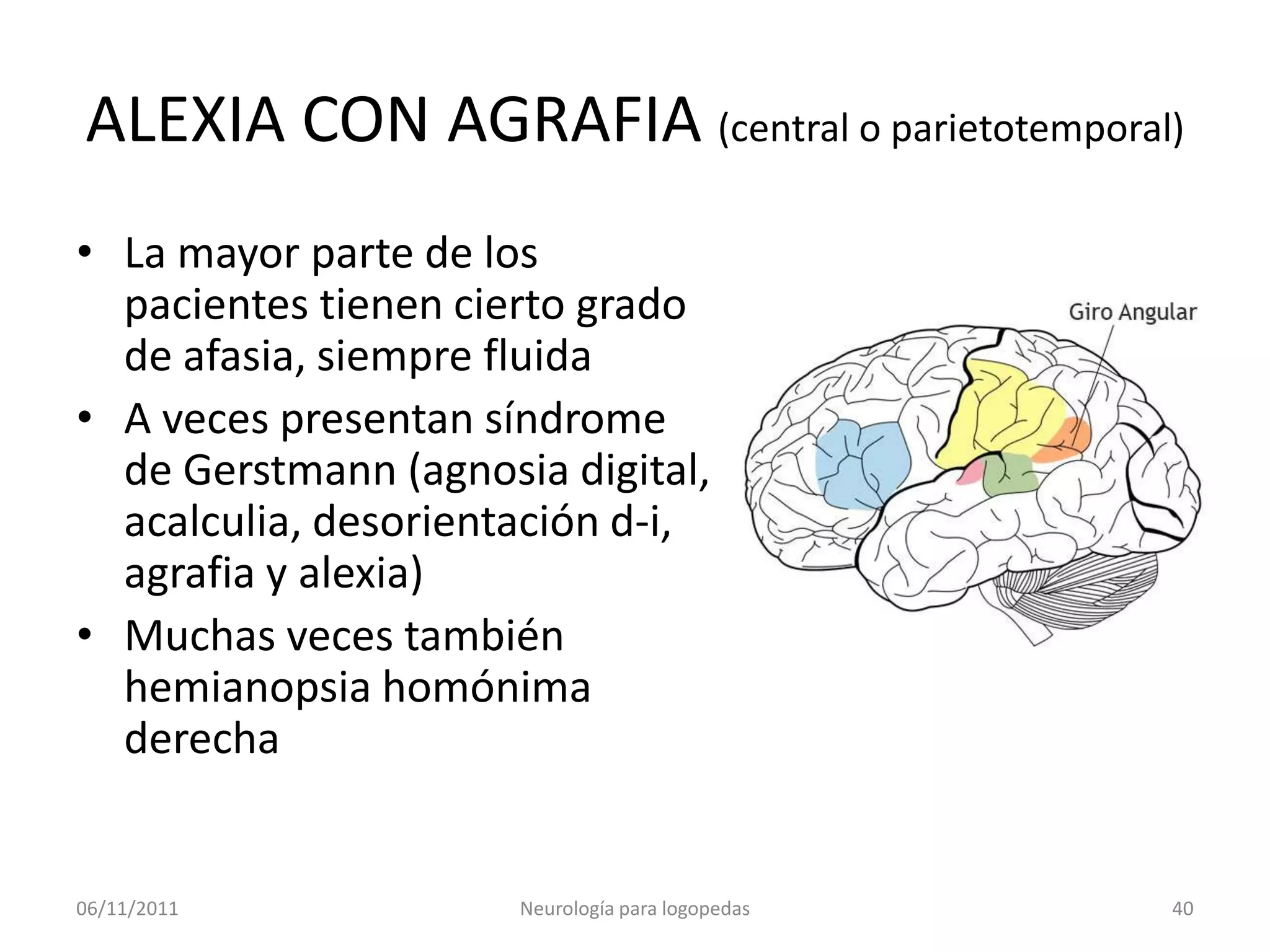 Afasia, alexia, agrafia, apraxia, disartria | PPTX | Brain and Nervous ...