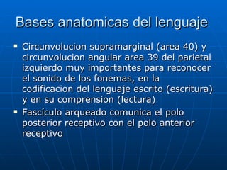 Afasias | PPT