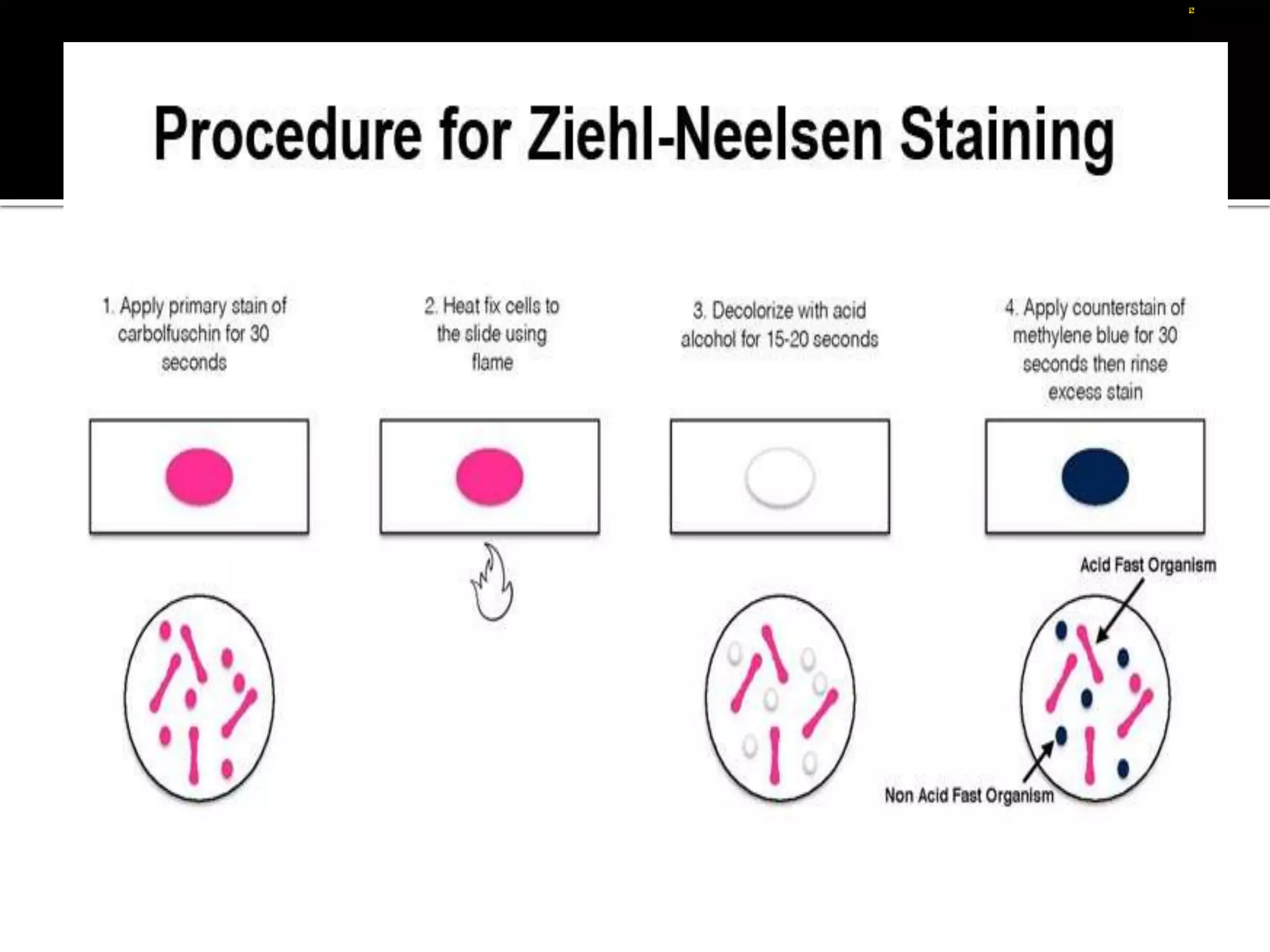 AFB (Acid-Fast Bacilli) smear staining.pptx