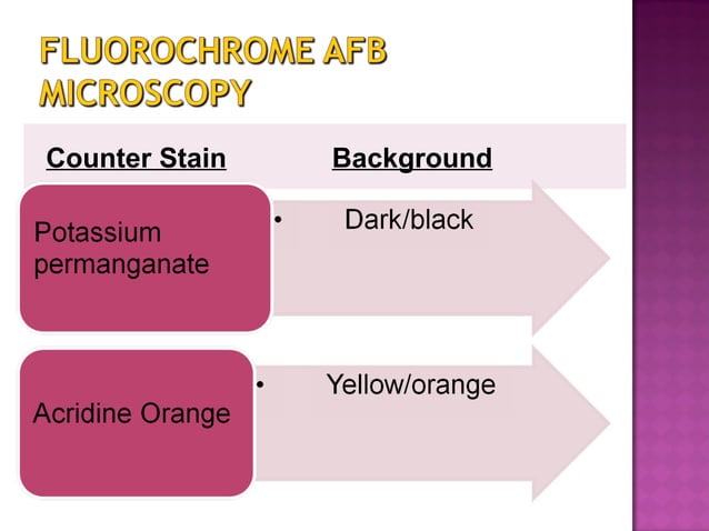 Afb microscopy and quality assurance copy | PPT
