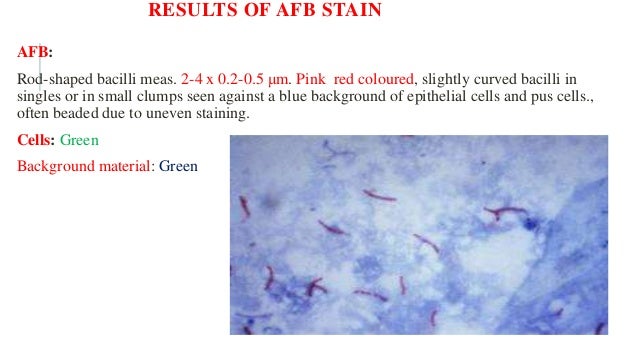 Afb stain by manoj