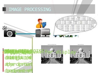 FINAL YEAR PROJECT1_3 | PPT