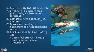 AFCC Implantation of Fenestrated TEVAR-converted.pdf