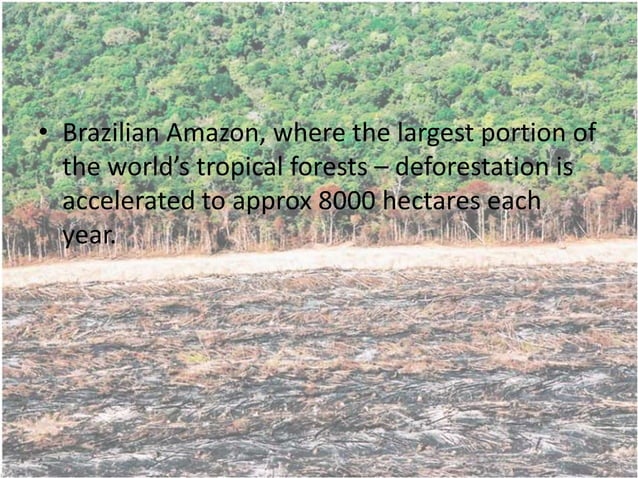 afforestation and deforestation relating printing | PPTX | Woodworking | Arts and Crafts