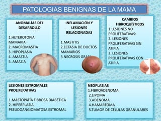 Afecciones mas frecuentes de las glándulas mamarias. | PPTX