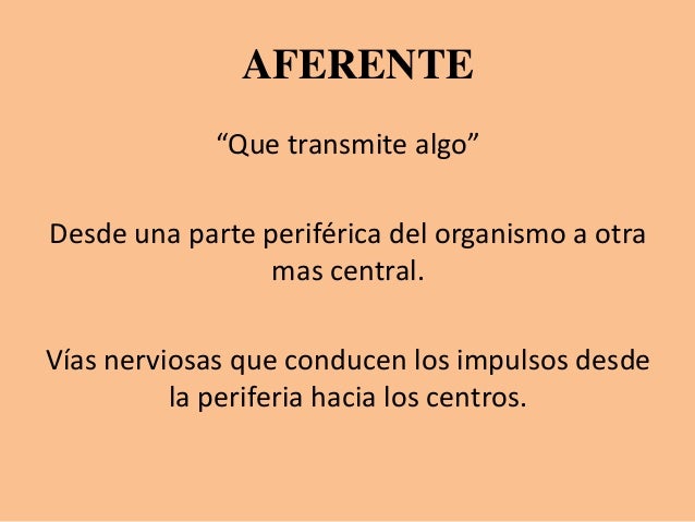 comunicacion Aferente y eferente
